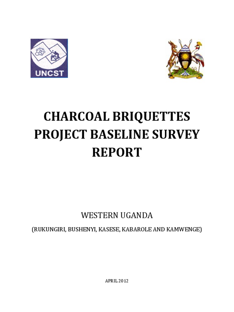 Charcoal Briquettes Project Baseline Survey Report | PDF | Charcoal ...
