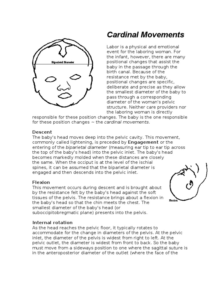 Cardinal Movements of labor | Pelvis | Childbirth