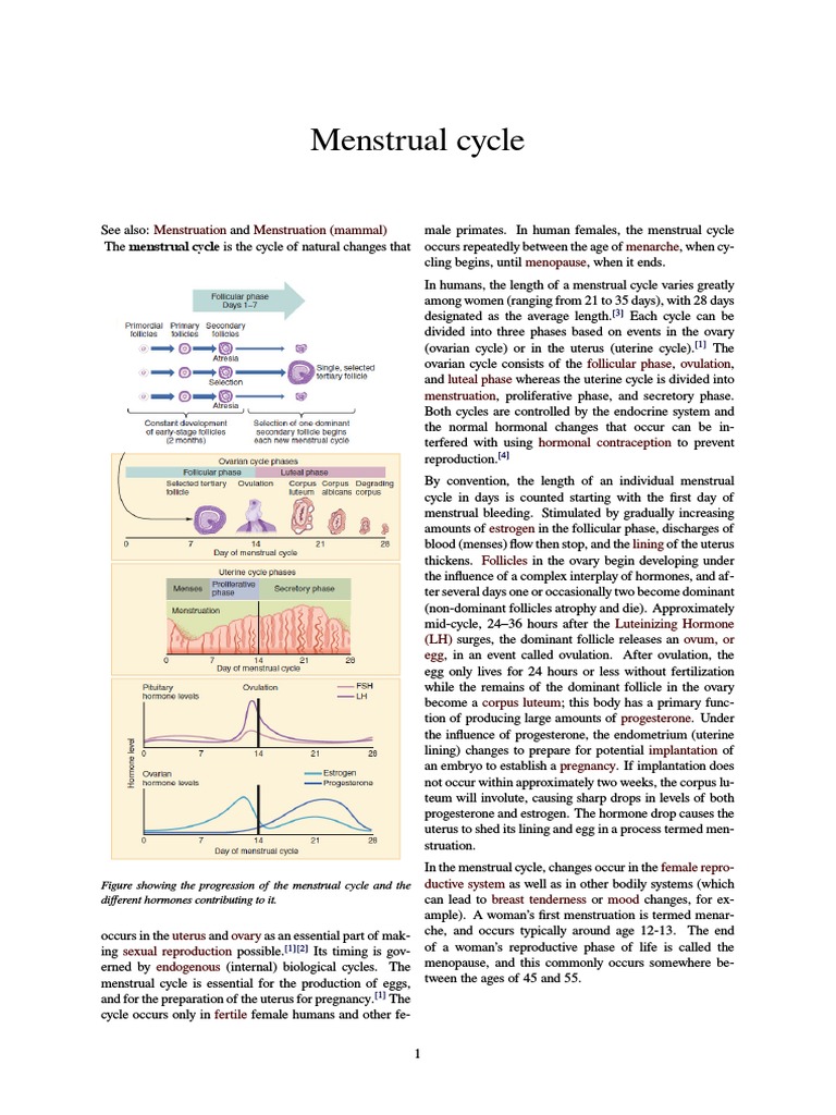 Menstrual Cycle Chart Pdf
