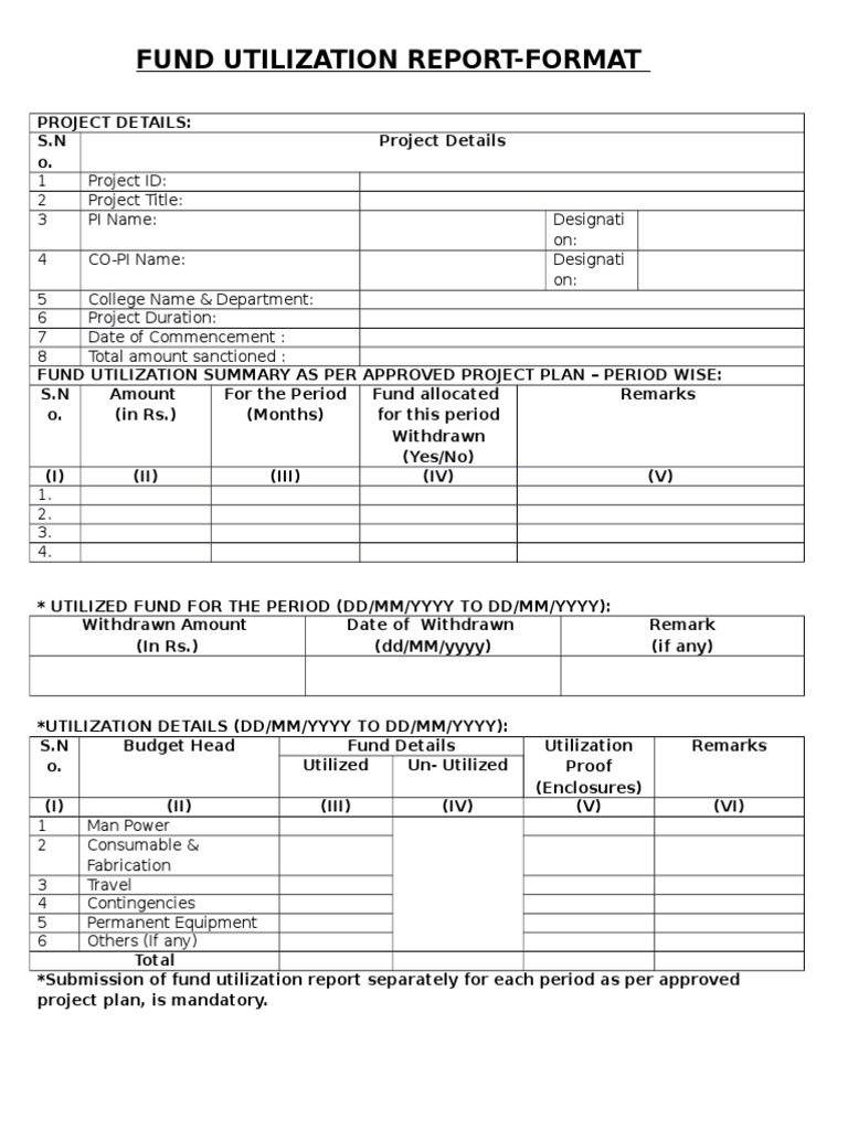 Fund Utilization Report Format | PDF | Government | Business