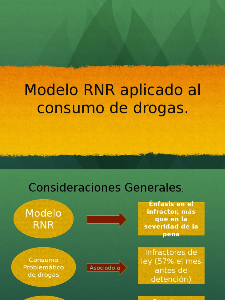 Modelo RNR Aplicado Al Consumo de Drogas | PDF | Comportamiento | Adultos