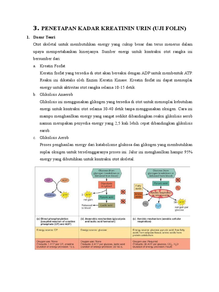 Uji Folin | PDF | Sains & Matematika | Teknologi & Rekayasa