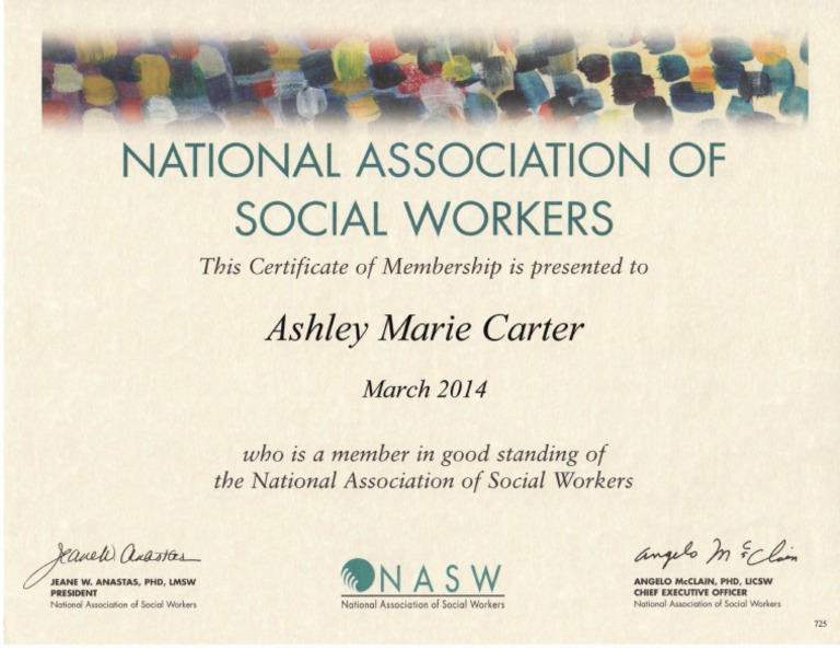Nasw | PDF | Lifestyle