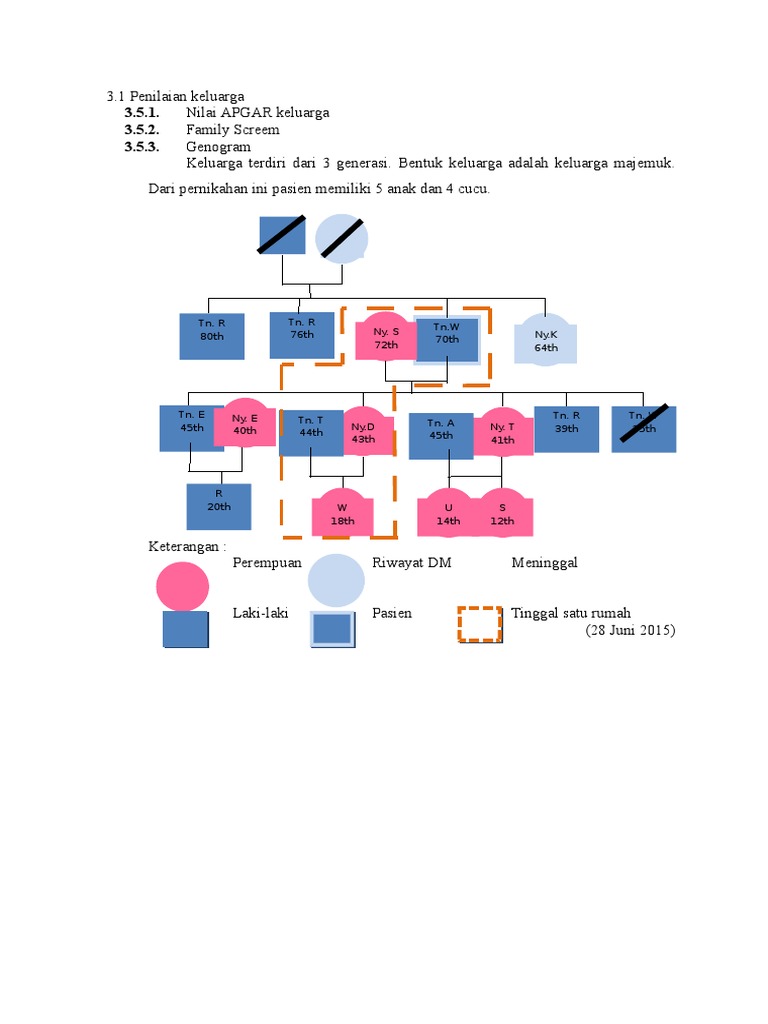 Family Mapping Dan Genogram