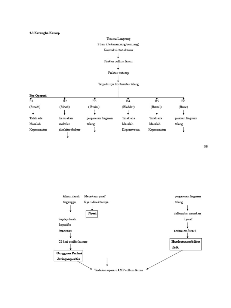 WOC Pre+Post | PDF