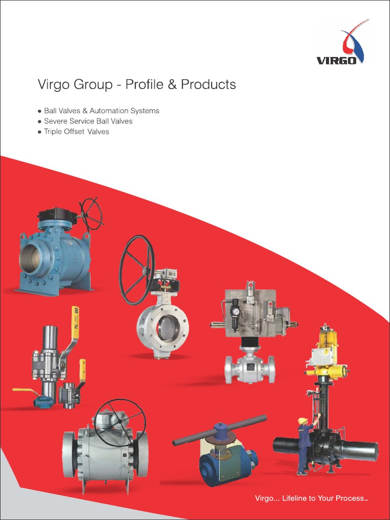 Virgo - Product and Profile | PDF | Valve | Enterprise Resource Planning