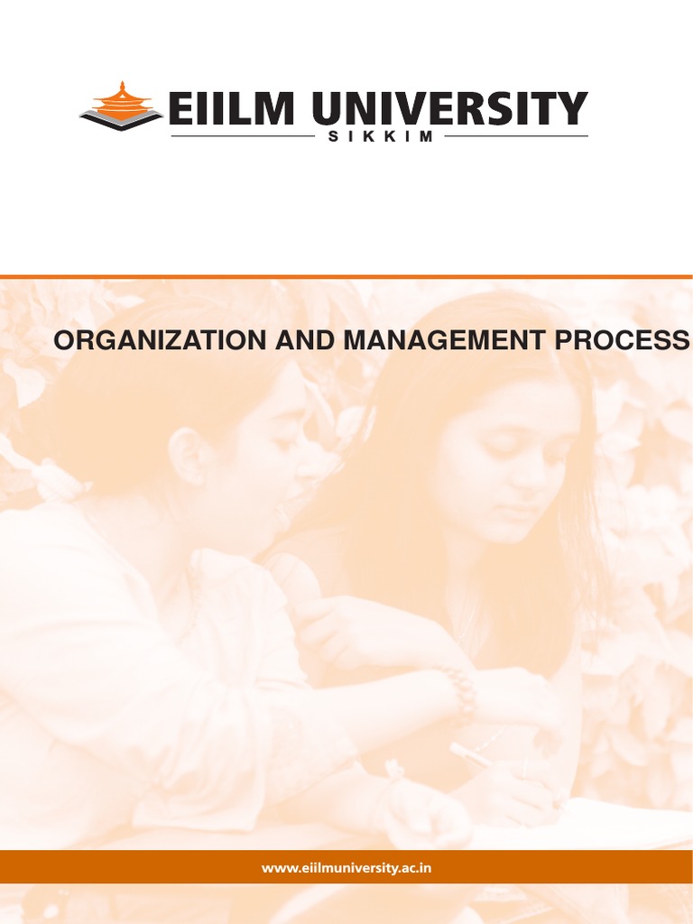 Organization and Management Process | PDF | System | Decision Making