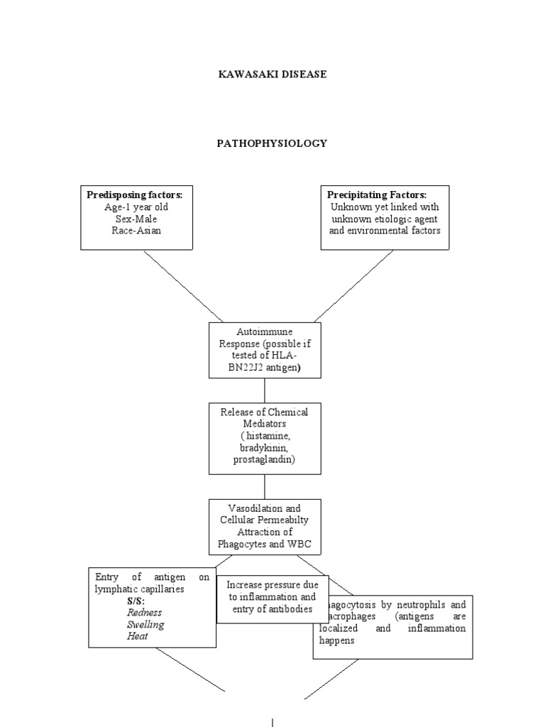 Kawasaki Disease | PDF | Myocardial Infarction | Inflammation