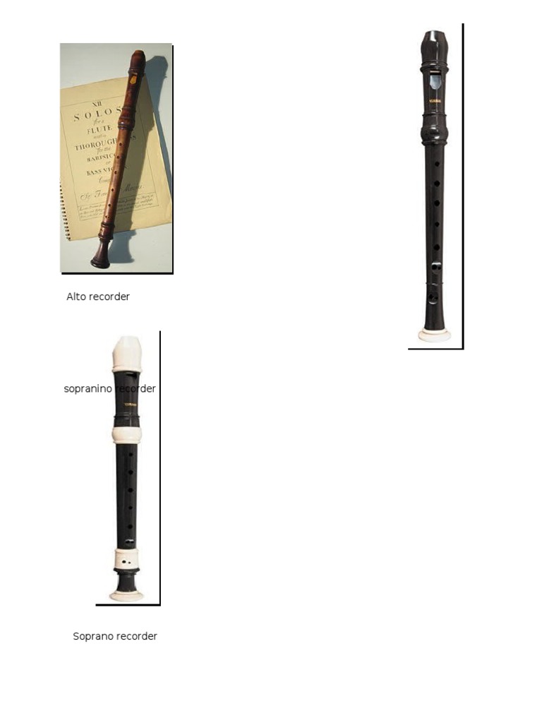 Recorder Types Explained | PDF | Language Arts & Discipline | Art