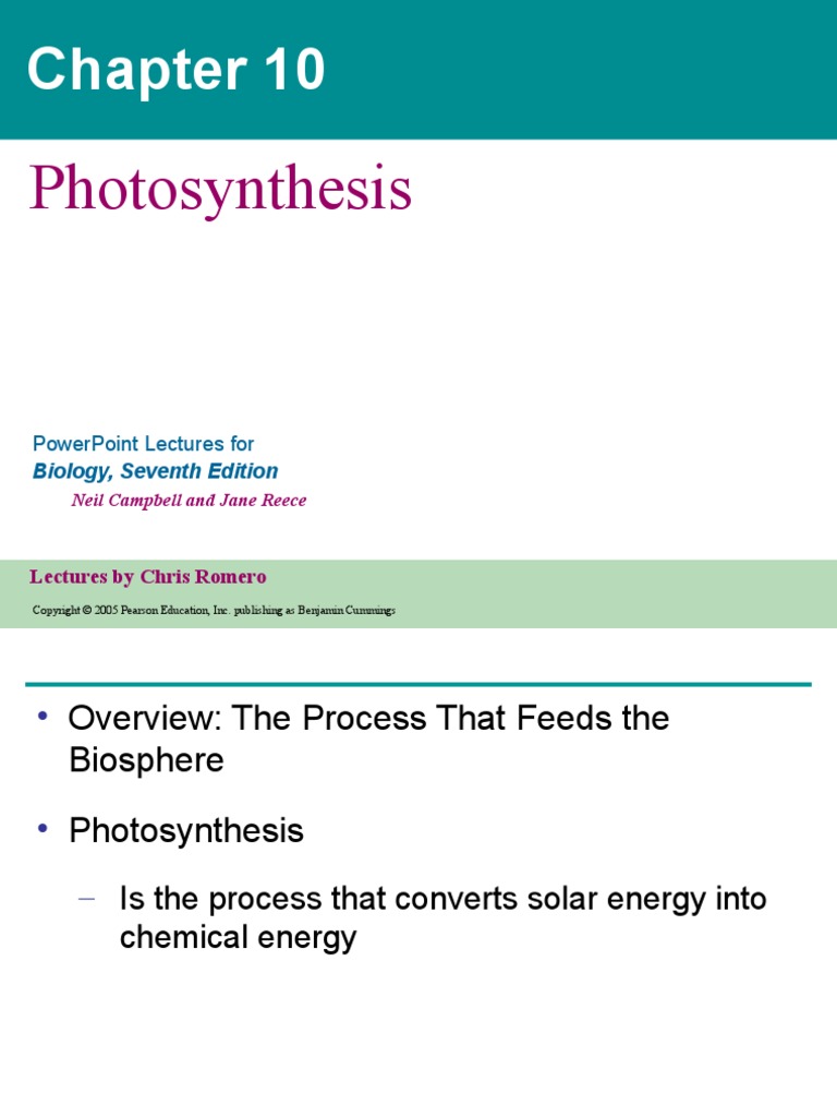 Photosynthesis: Powerpoint Lectures For | PDF | Photosynthesis ...