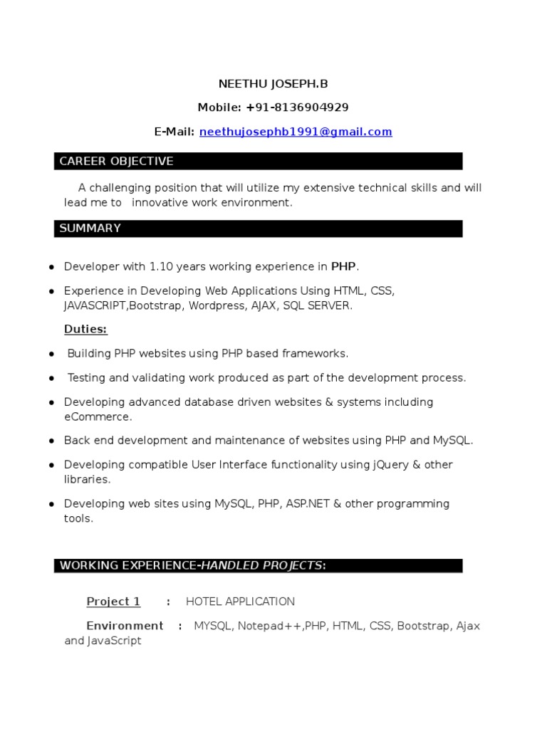 Sample CV For Reference | PDF | Websites | Word Press