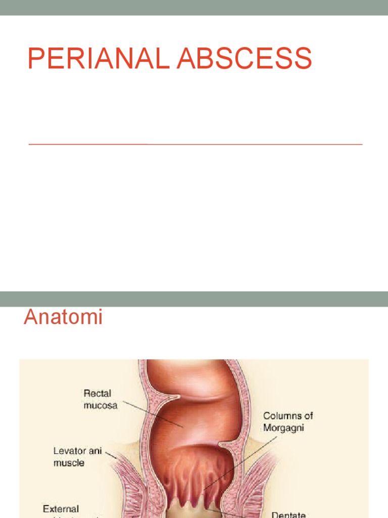 Abses Perianal REFERAT | PDF
