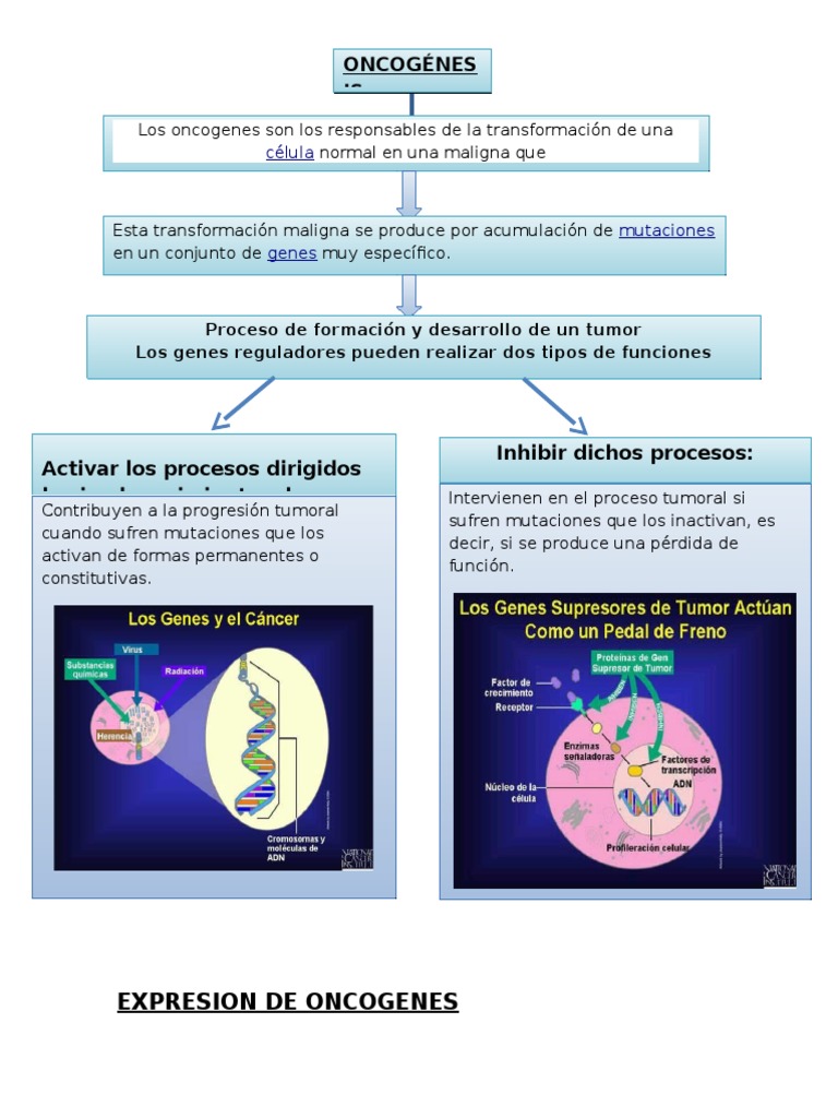 Oncogenesis | Oncogen | Gen supresor de tumores