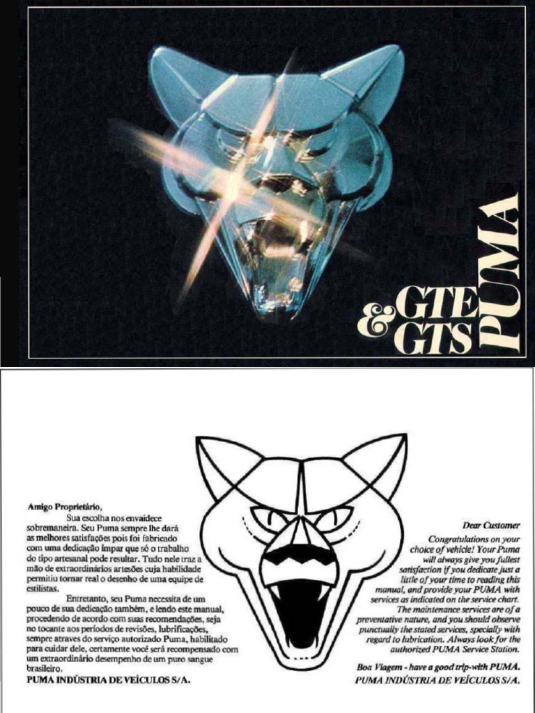 Manual Puma GTE e GTS | PDF