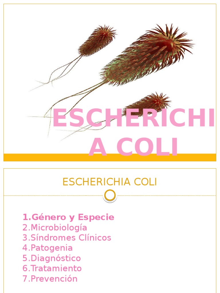Escherichia Coli I | PDF | Escherichia coli | Diarrea