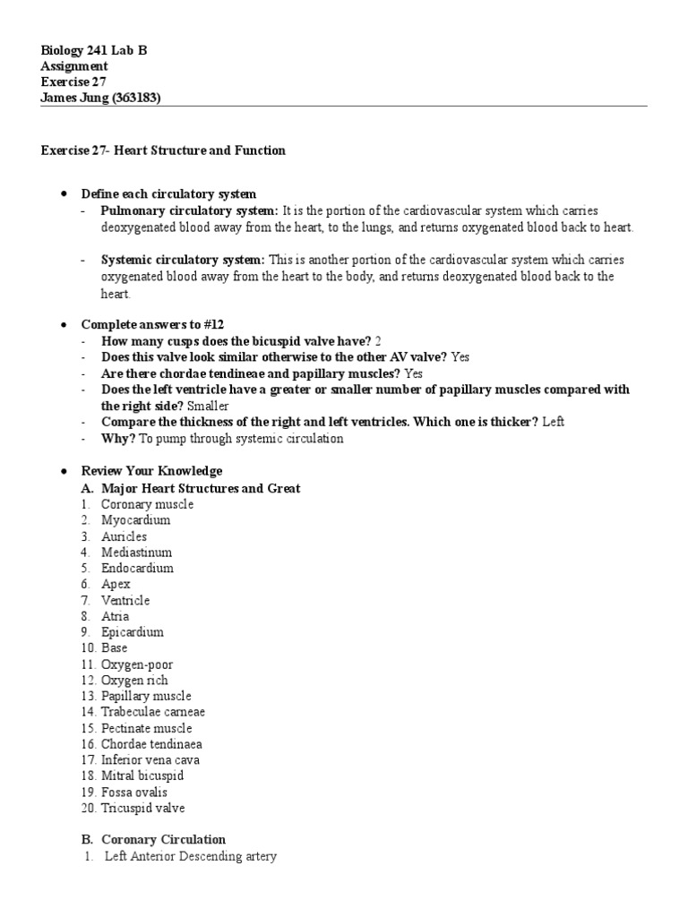 Biology 241 Lab B Exercises 27 | PDF | Heart Valve | Coronary Circulation