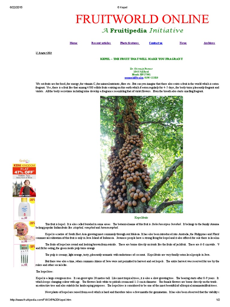 6 Kepel Exotic Fruit | PDF | Trees | Fruit