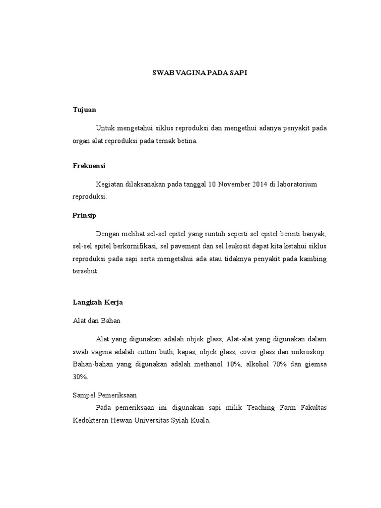Swab Vagina Pada Sapi | PDF | Kesehatan Holistik
