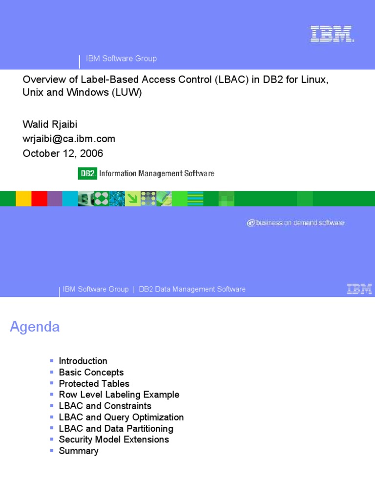 DB2 Lbac | PDF | Ibm Db2 | Database Index