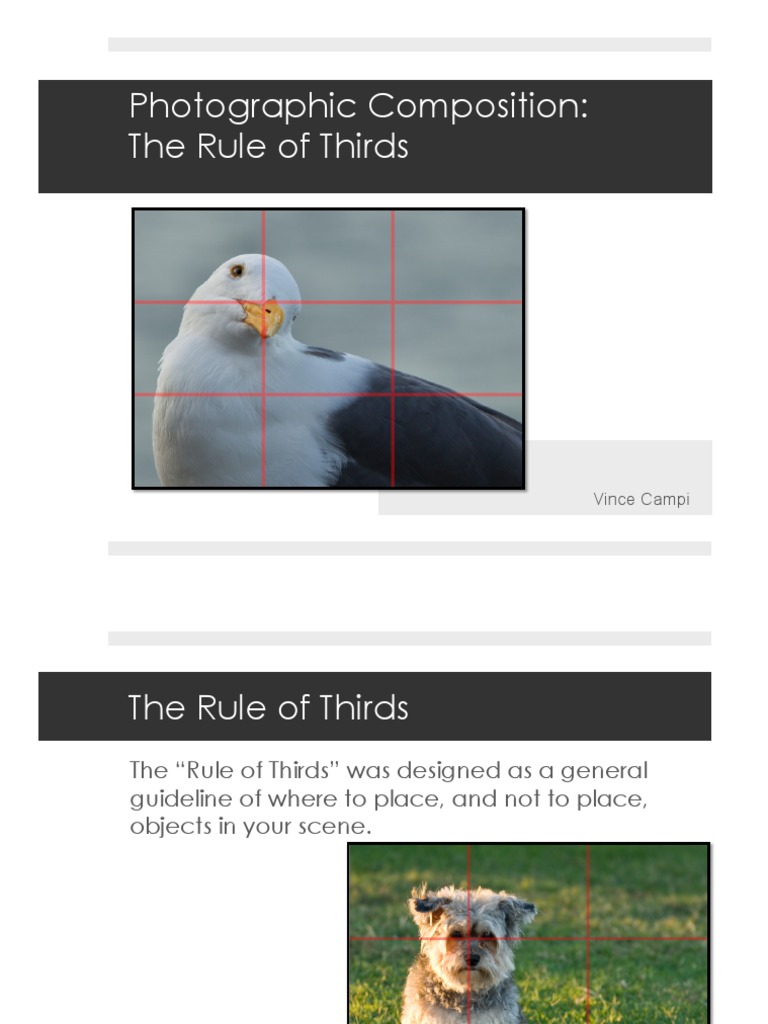 00a - Photo Lesson Rule of Thirds | PDF | Art | Self-Improvement