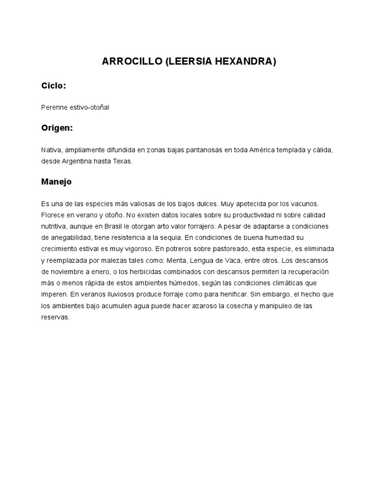 Arrocillo: Características y Manejo | PDF