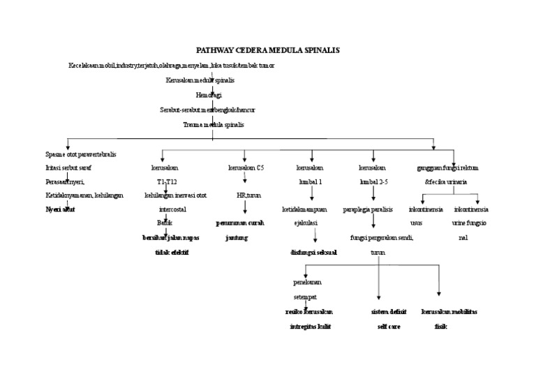 Lampiran Pathway Cedera Medula Spinalis | PDF