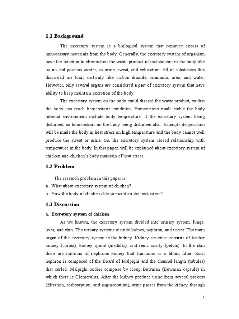 Excretory System of Chicken | PDF | Kidney | Human Body
