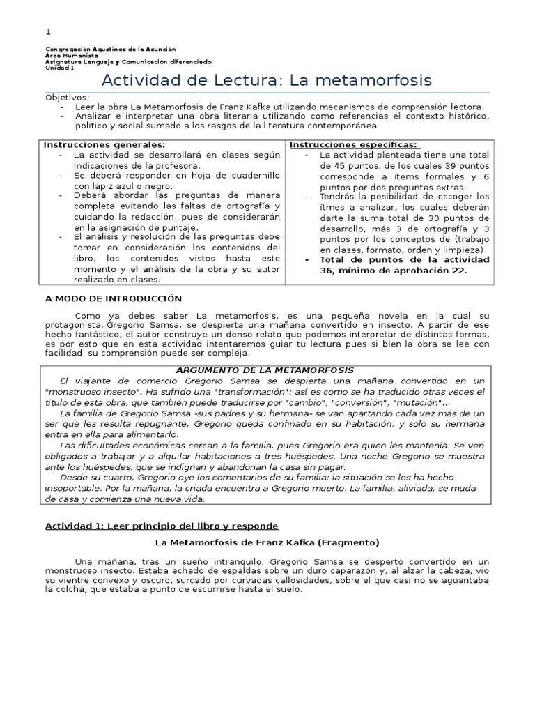 Actividades y Preguntas sobre La Metamorfosis | PDF | Franz Kafka | La ...