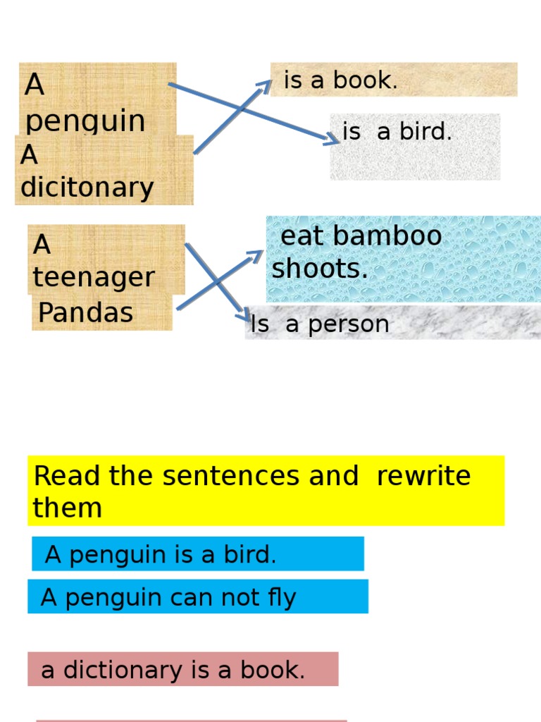 A Penguin: A Dicitonary A Teenager Pandas | PDF