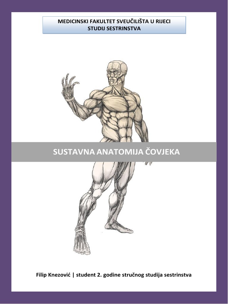 FilipKnezovic-Sustavna Anatomija Covjeka - Skripta Za Pripremu Ispita ...