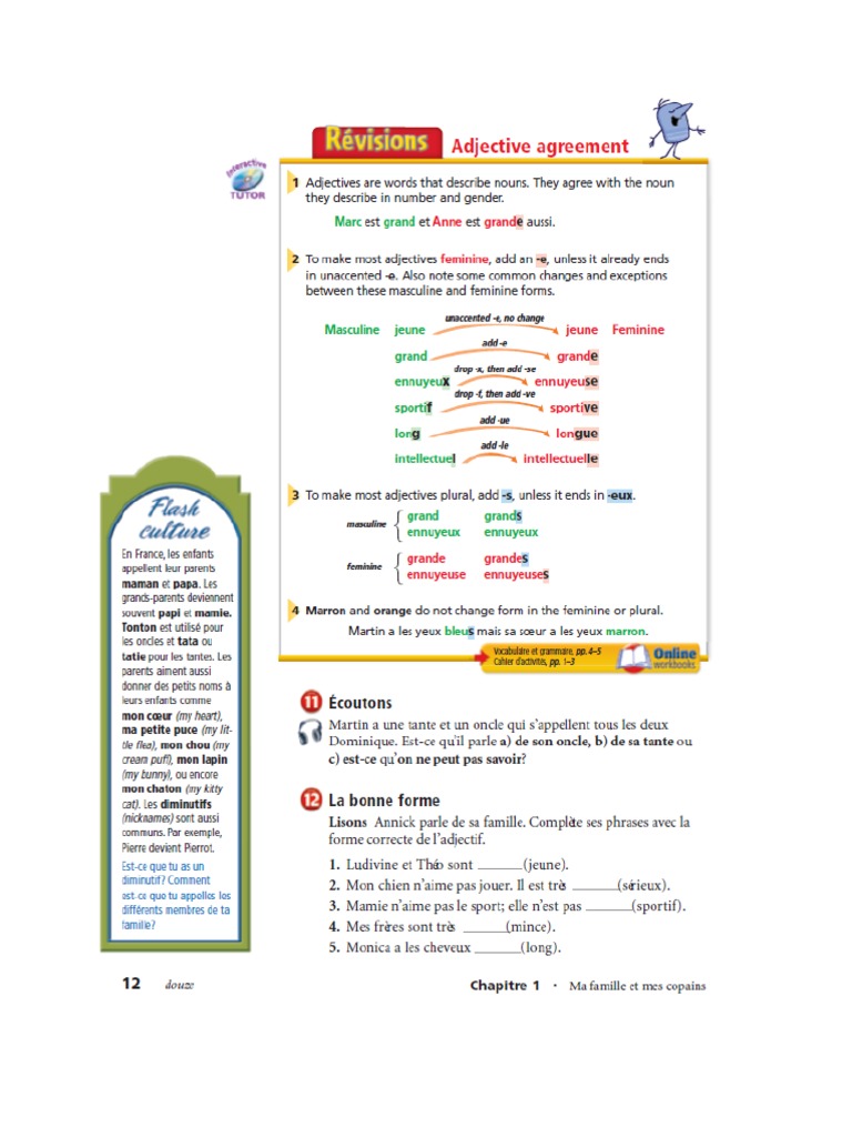 Accord Des Adjectifs Et BAGS | PDF