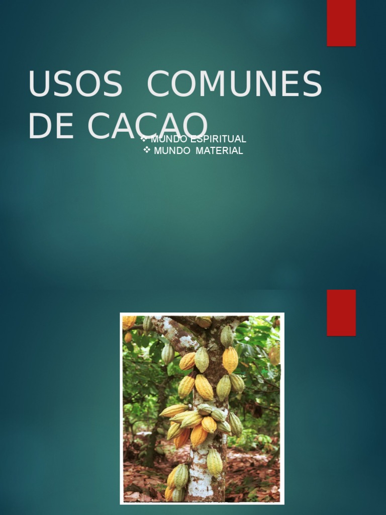 Usos Culturales y Espirituales del Cacao | PDF | Hogar, jardinería y ...