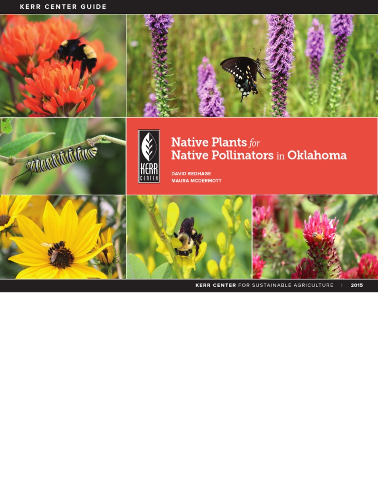 Pollinator Guidebook For Oklahoma | PDF | Pollinators | Bees