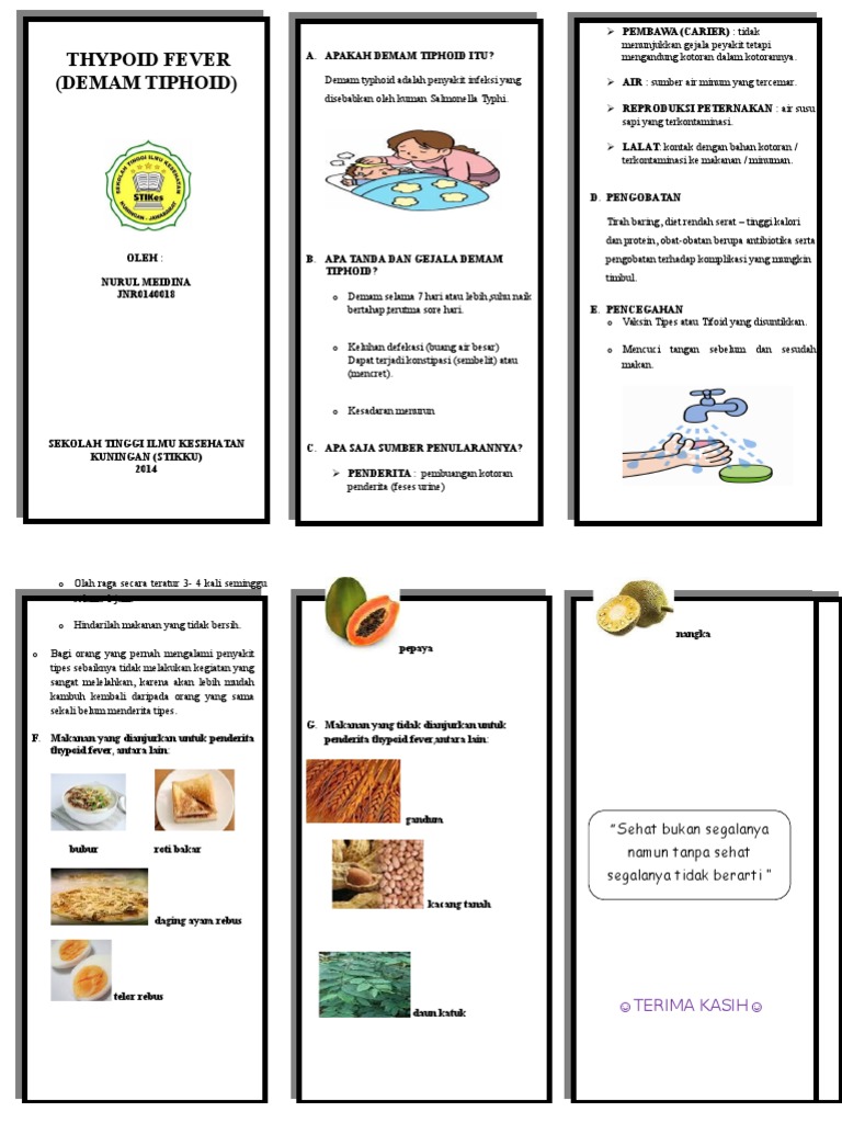 Leaflet Demam Thypoid (Tipes) | PDF
