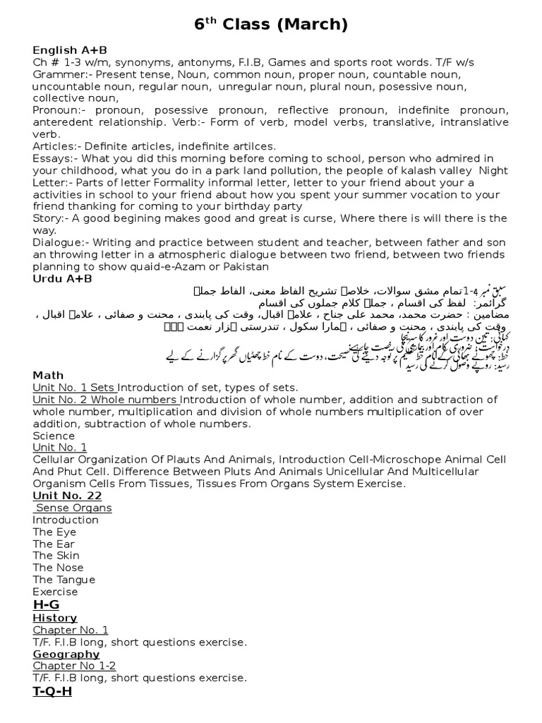 6th Class Syll | PDF | Solution | Noun