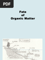 Diagenesis, Catagenesis, and | PDF | Petroleum | Alkane