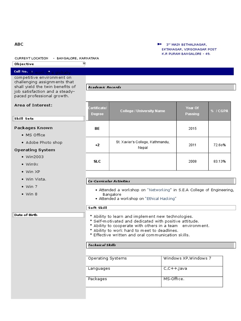 Computer Engineer Resume Overview | PDF | Career & Growth