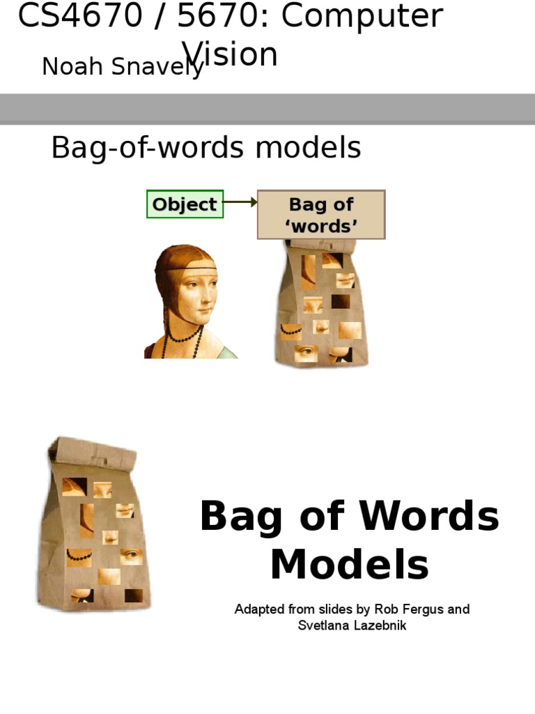 Bag-Of-Words Models: Noah Snavely | PDF | Cluster Analysis ...