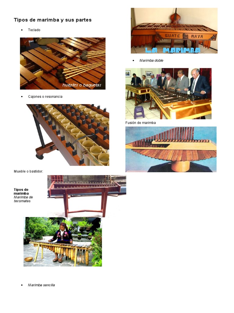 Tipos de Marimba y Sus Partes | PDF