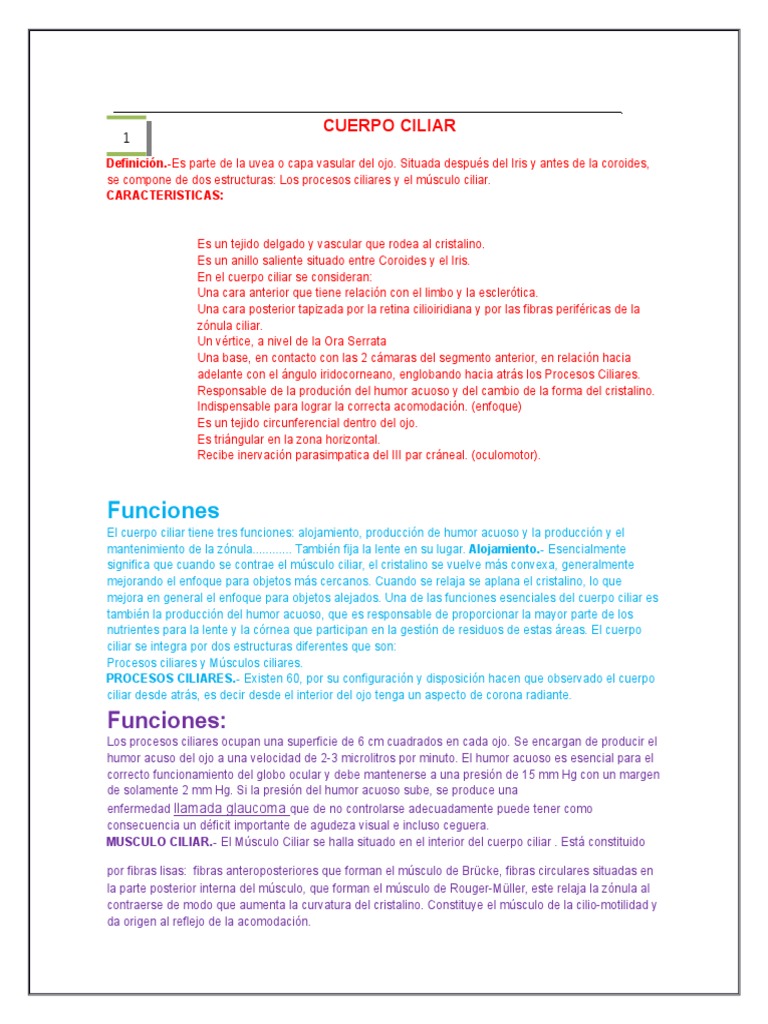 Funciones y Estructura del Cuerpo Ciliar | PDF | Ojo humano | Rasgos ...