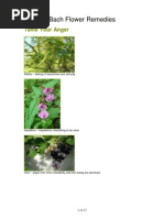 Bachflowers Pendulum Chart | PDF | Bach Flower Remedies | Plants