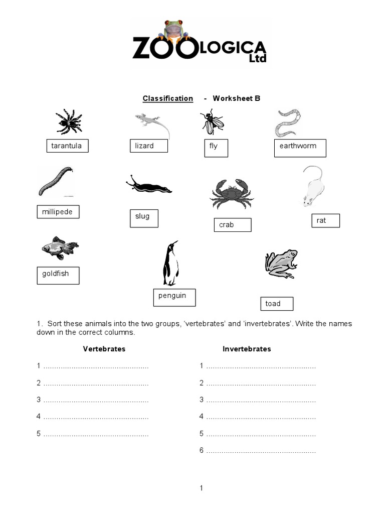 Animal Classification Worksheet | PDF