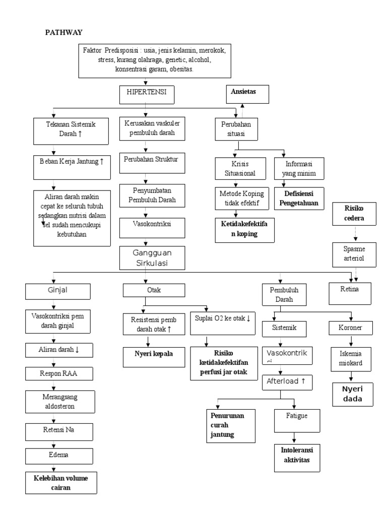 Pathway Hipertensi