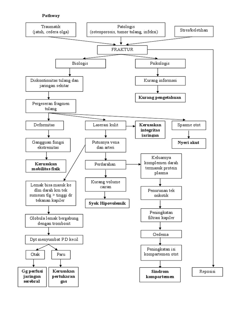 Pathway Fraktur | PDF