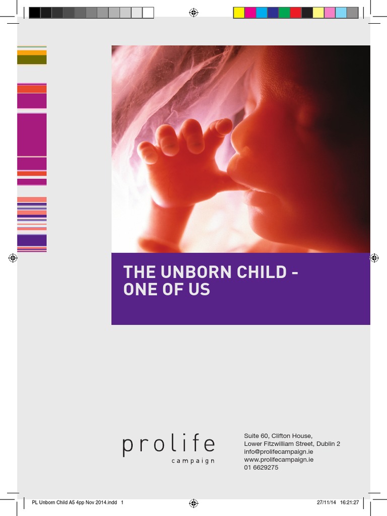 Understanding Unborn Child Development | PDF