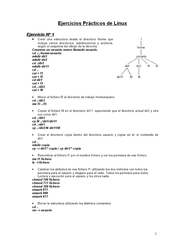 Ejercicios Prácticos de Linux | PDF | Archivo de computadora | Disco compacto