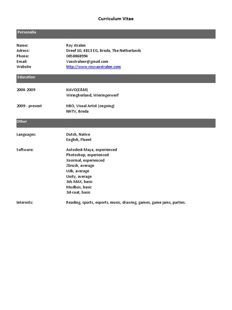 Visual Artist's CV: Roy Stralen | PDF | Games & Activities