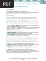 Cardiovascular System Lecture - Notes | PDF | Heart Valve | Circulatory ...