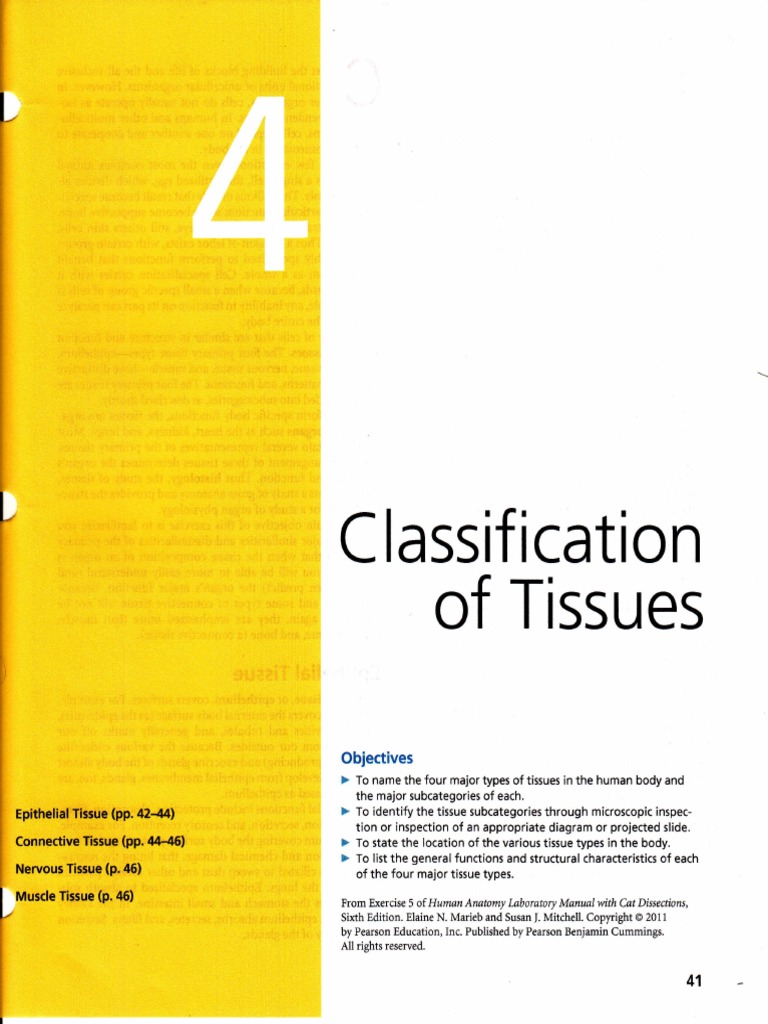 Lab Manual - Tissues | PDF | Epithelium | Tissue (Biology)