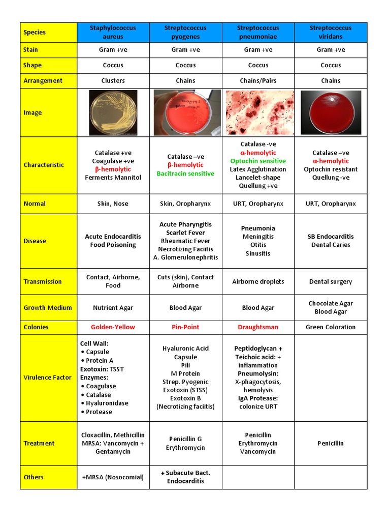 Bacterial and Fungal Pathogen Overview | PDF | Streptococcus | Candidiasis